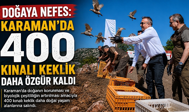 Doğaya Nefes: Karaman’da 400 Kınalı Keklik Daha Özgür Kaldı - Yaşam - E ...